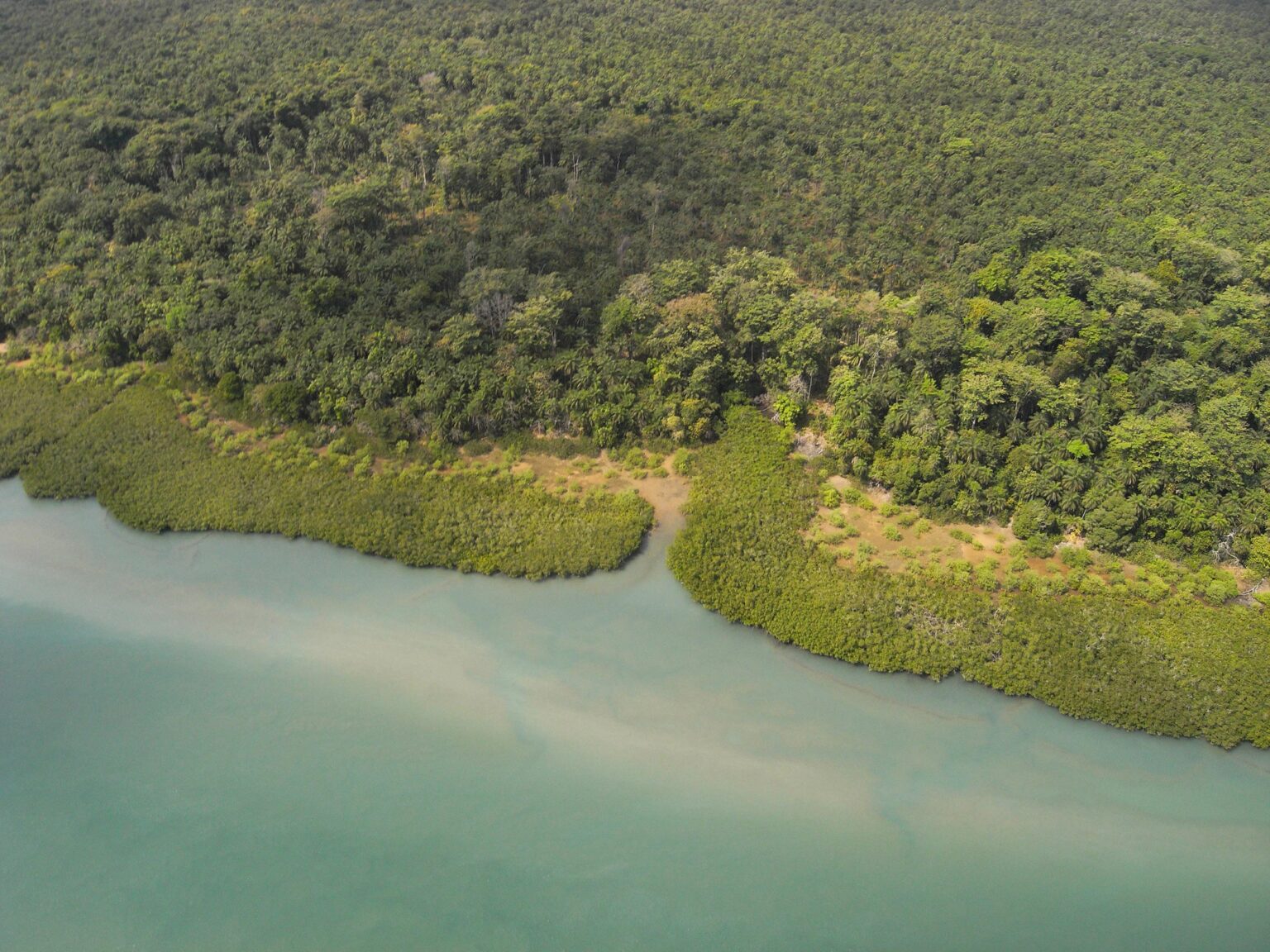 Home page - Bio Guinea