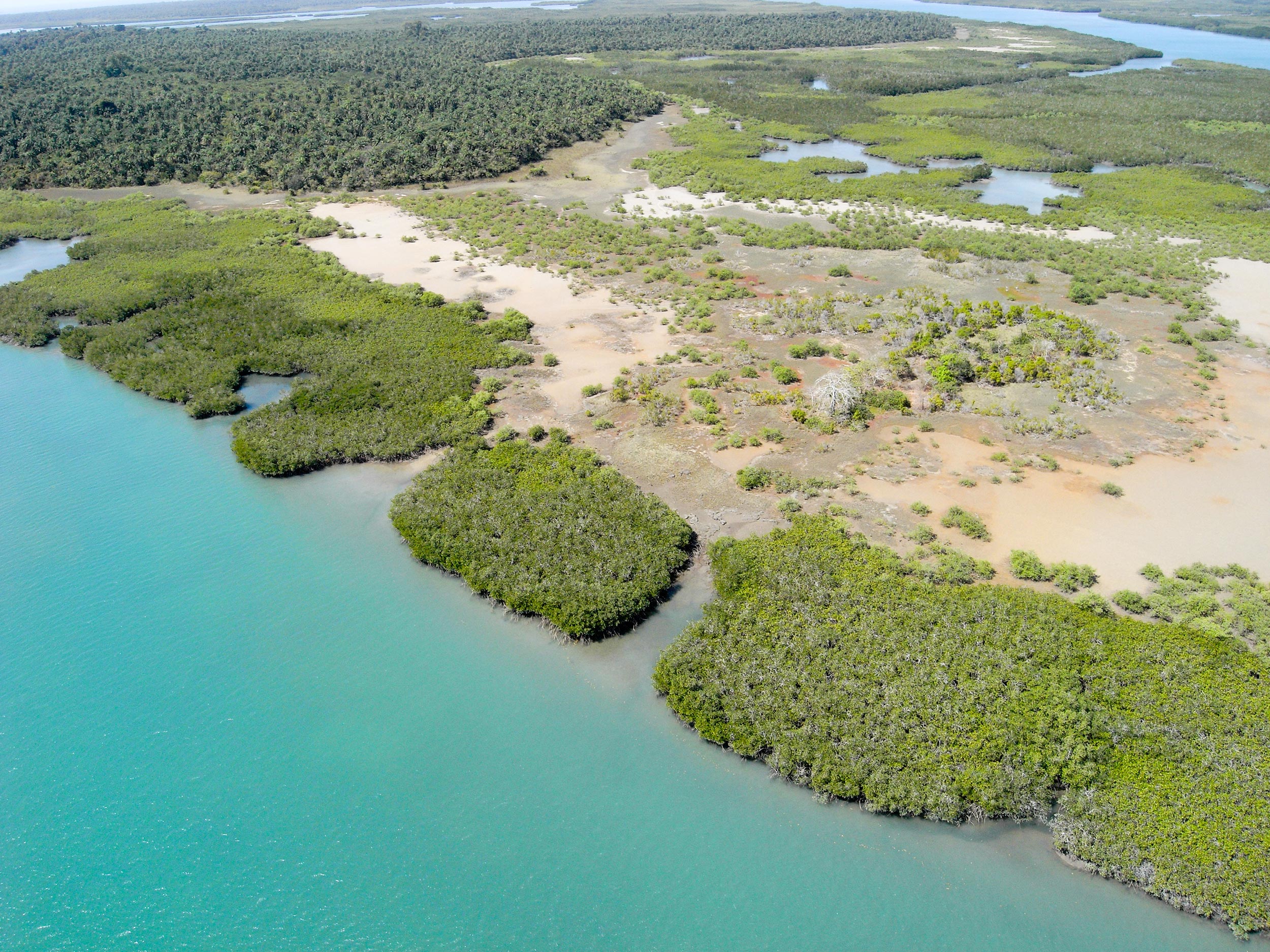 Community Marine Protected Area of the Urok Islands - Bio Guinea